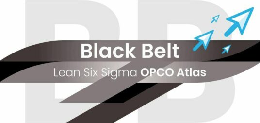 Formation Lean Six Sigma : découvrez les formations Lean Six Sigma